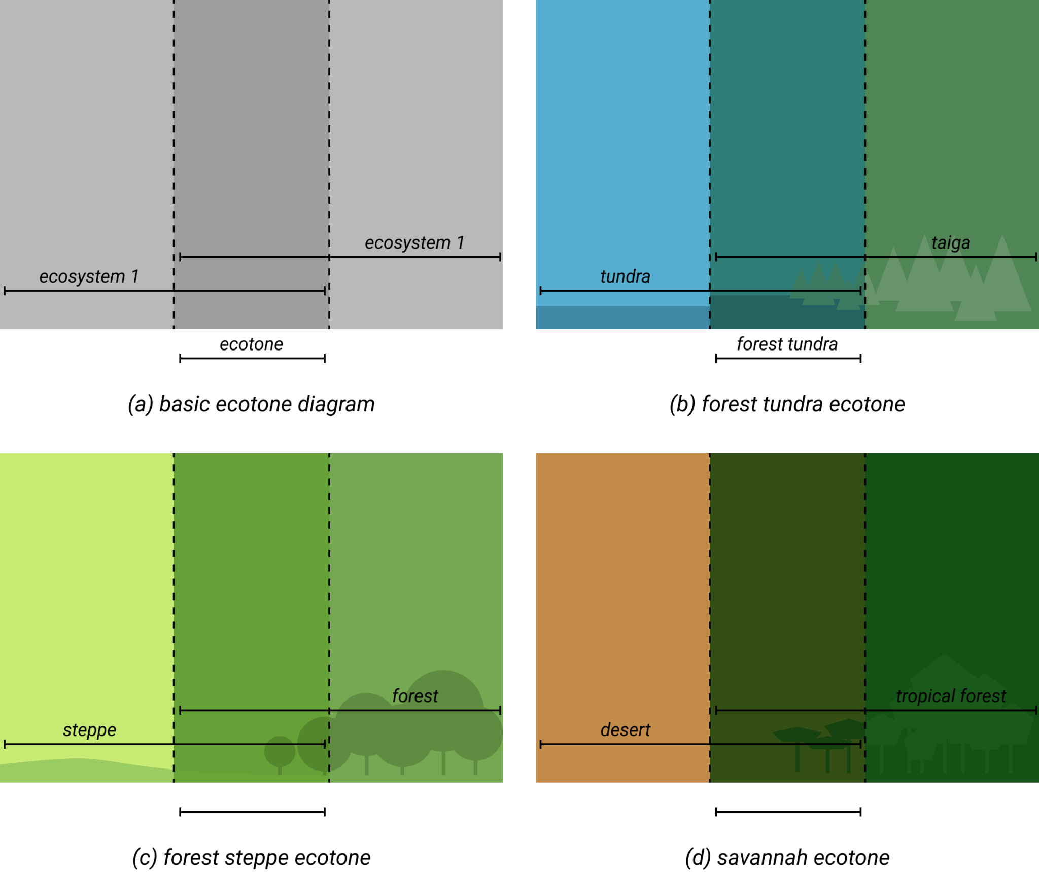 The Ecotone Framework: Understand Systemic Change and Innovation in ...